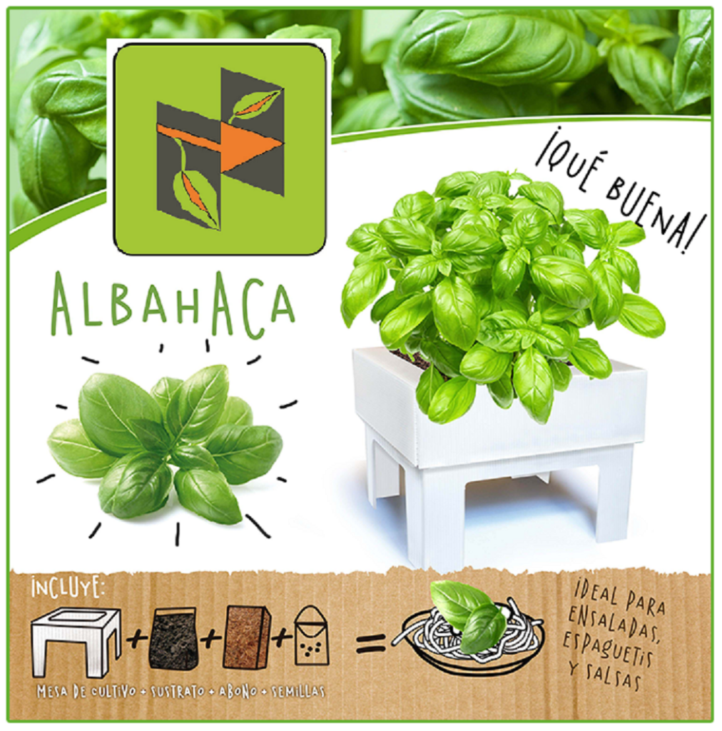 Kit Con Mini Huerto, Sustrato Y Semillas Para Niños